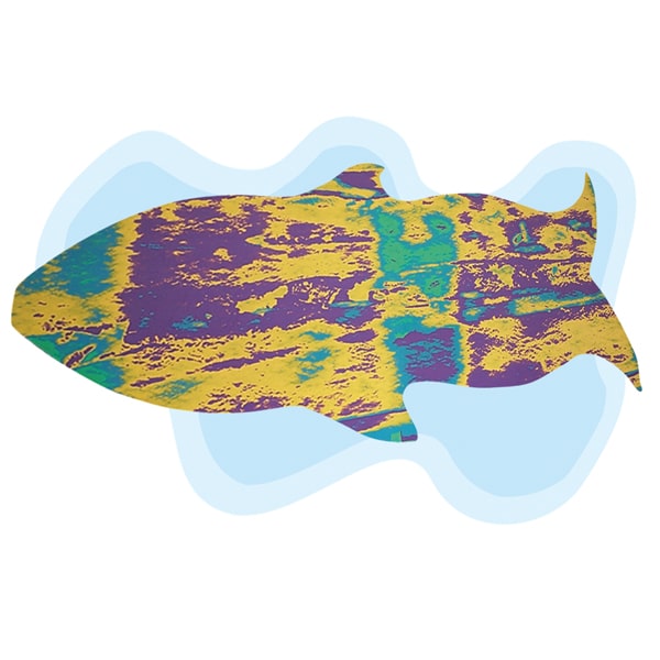 Pro-Am Shaped Pool Mats – PRO-AM Australia