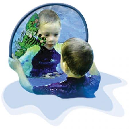 Pool Water Mirror – PRO-AM Australia